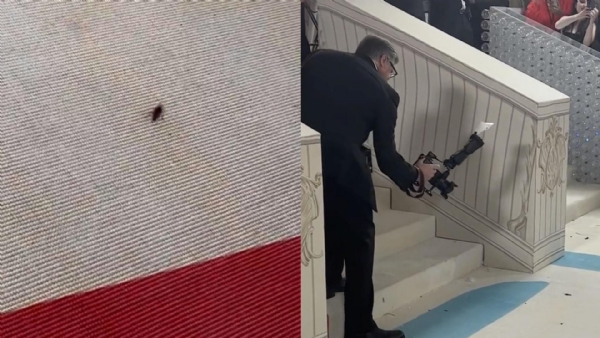(VIDEO) Cockroach Takes A Red Carpet Stroll At Met Gala